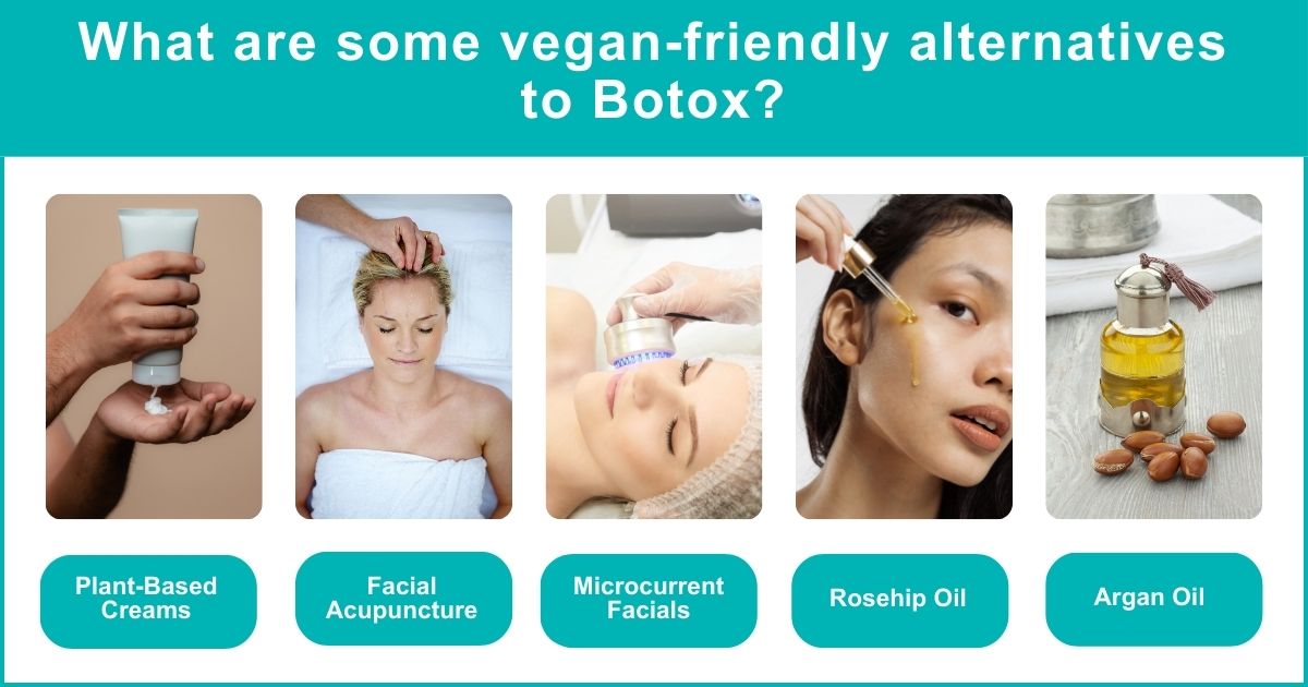 Botox And Veganism: Is It A Vegan-Friendly Treatment? 2025